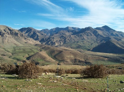 Shlama - Macht op de kale berg